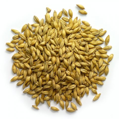 Warminster Maltings | Superior Malt | Brewers Distillers | Traditional ...