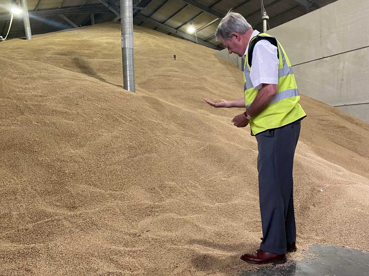 Warminster Maltings | Superior Malt | Barley Selection | Traditional ...