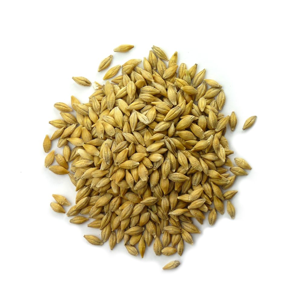 Warminster Maltings | Brewers & Distillers Malts | Heritage Malts